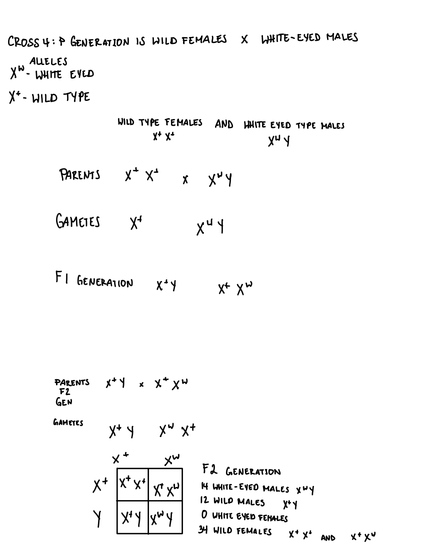 Solved Please Use This Data To Fill Out The Remaining Of The 