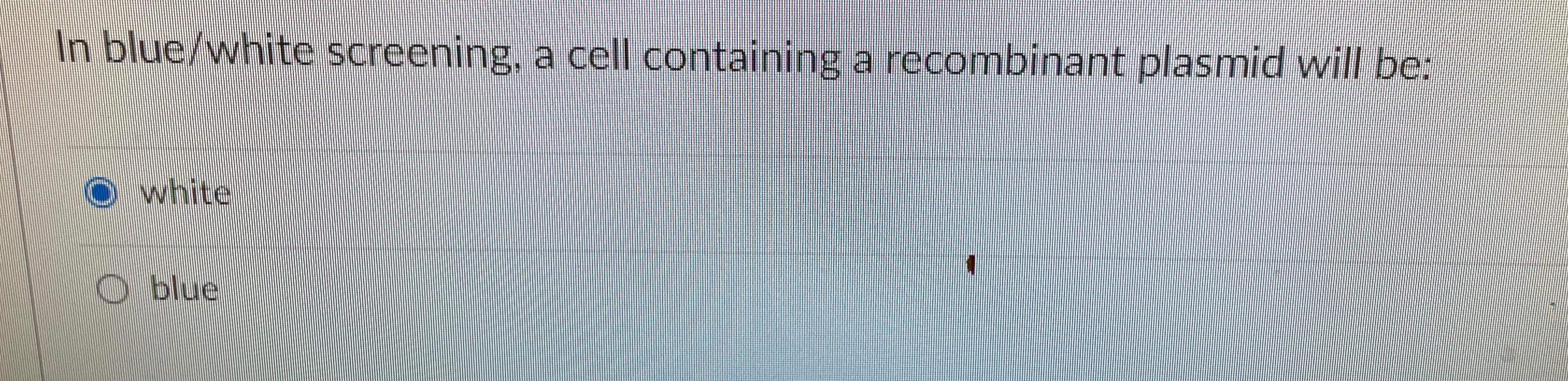 Solved In blue/white screening, a cell containing a | Chegg.com