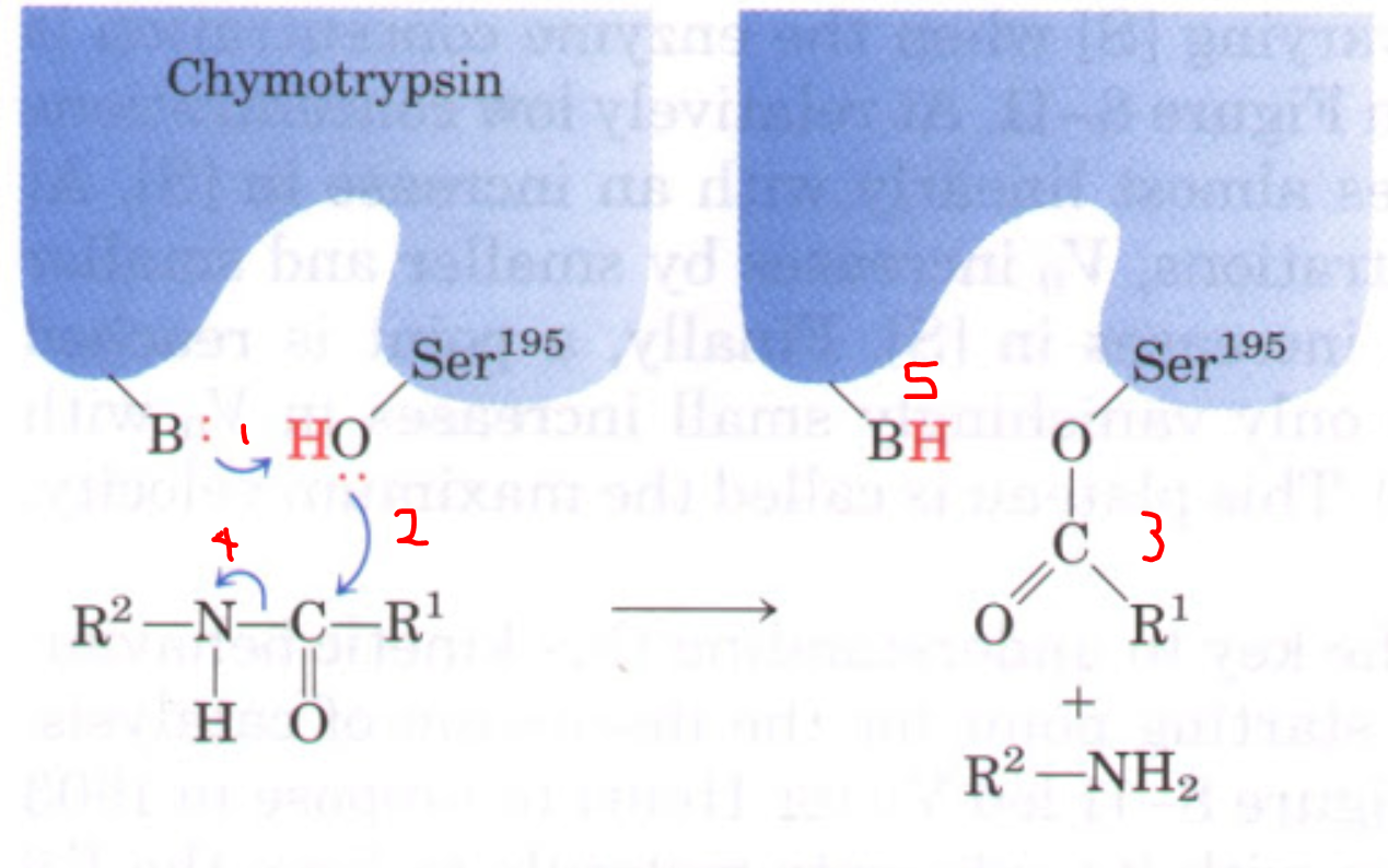 Solved which of these numbers (two numbers need to be | Chegg.com