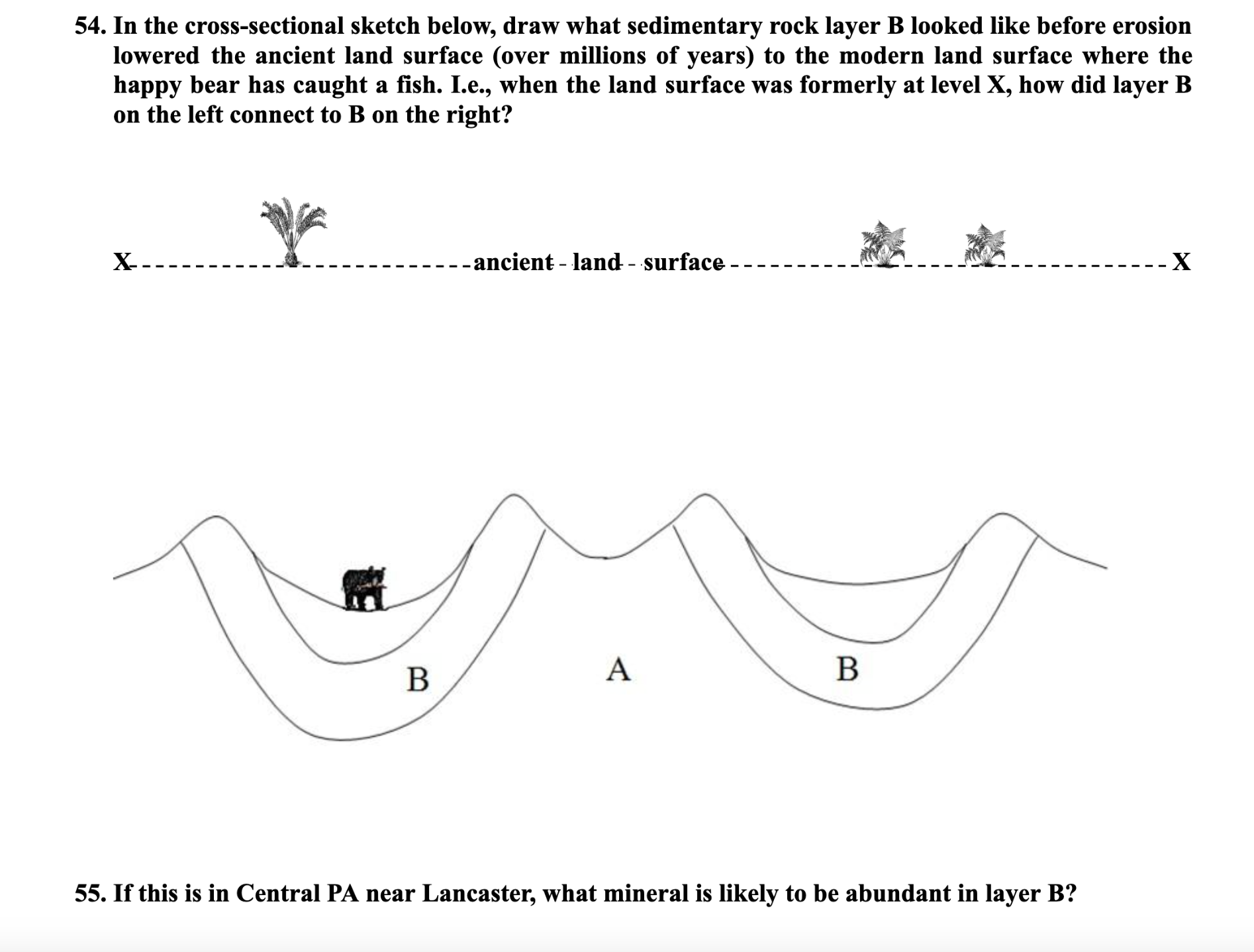 Solved SKETCH the following questions pleaseee: | Chegg.com