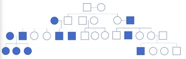 Solved What inheritance pattern is shown in this | Chegg.com