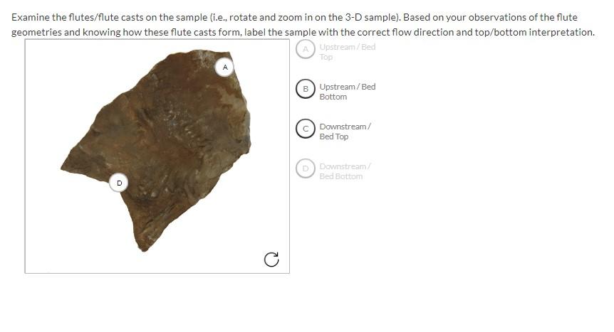 Examine the flutes/flute casts on the sample (i.e., | Chegg.com