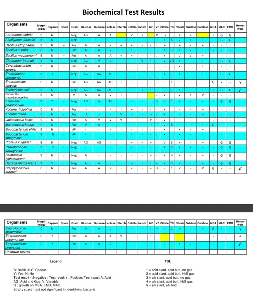 Solved Using the chart what is the appearance of the test | Chegg.com