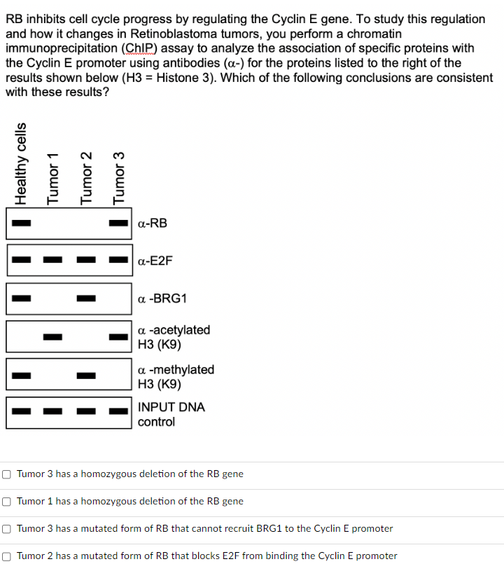 Solved RB inhibits cell cycle progress by regulating the | Chegg.com