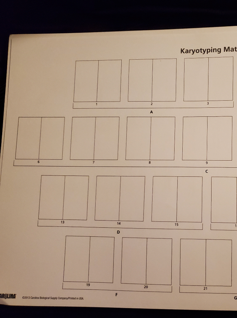 SITY IILID a SI SUID ID C шD ILID D IIIID EGID IL TID | Chegg.com