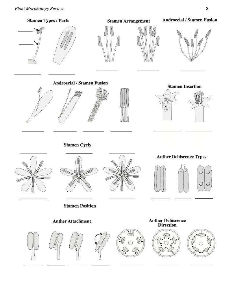 Solved Fill in the blank: What is the Periath Types for | Chegg.com