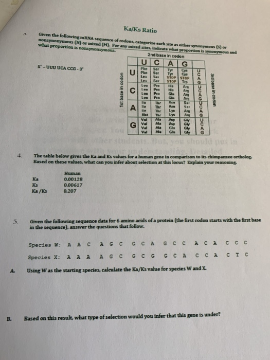 Solved Ka/Ks Ratio Given the following mRNA sequence of | Chegg.com