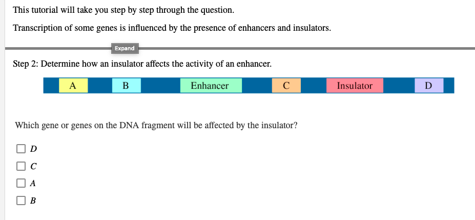 Solved This tutorial will take you step by step through the | Chegg.com