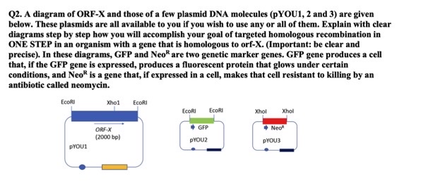 Solved Q2. A diagram of ORF-X and those of a few plasmid DNA | Chegg.com