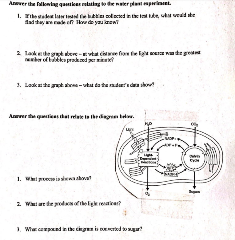 Solved please try to answer all the questions for thumbs up | Chegg.com