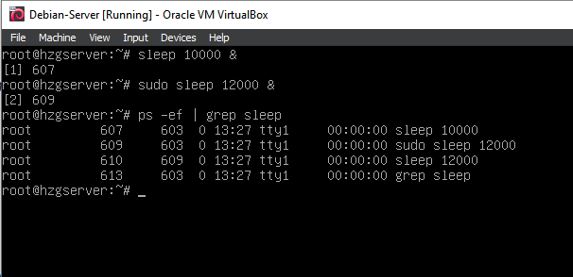 Solved 10. Execute the commands “sleep 10000 &” and “sudo | Chegg.com