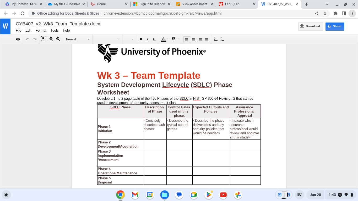 Solved Wk 3 - Team Template System Development Lifecycle | Chegg.com
