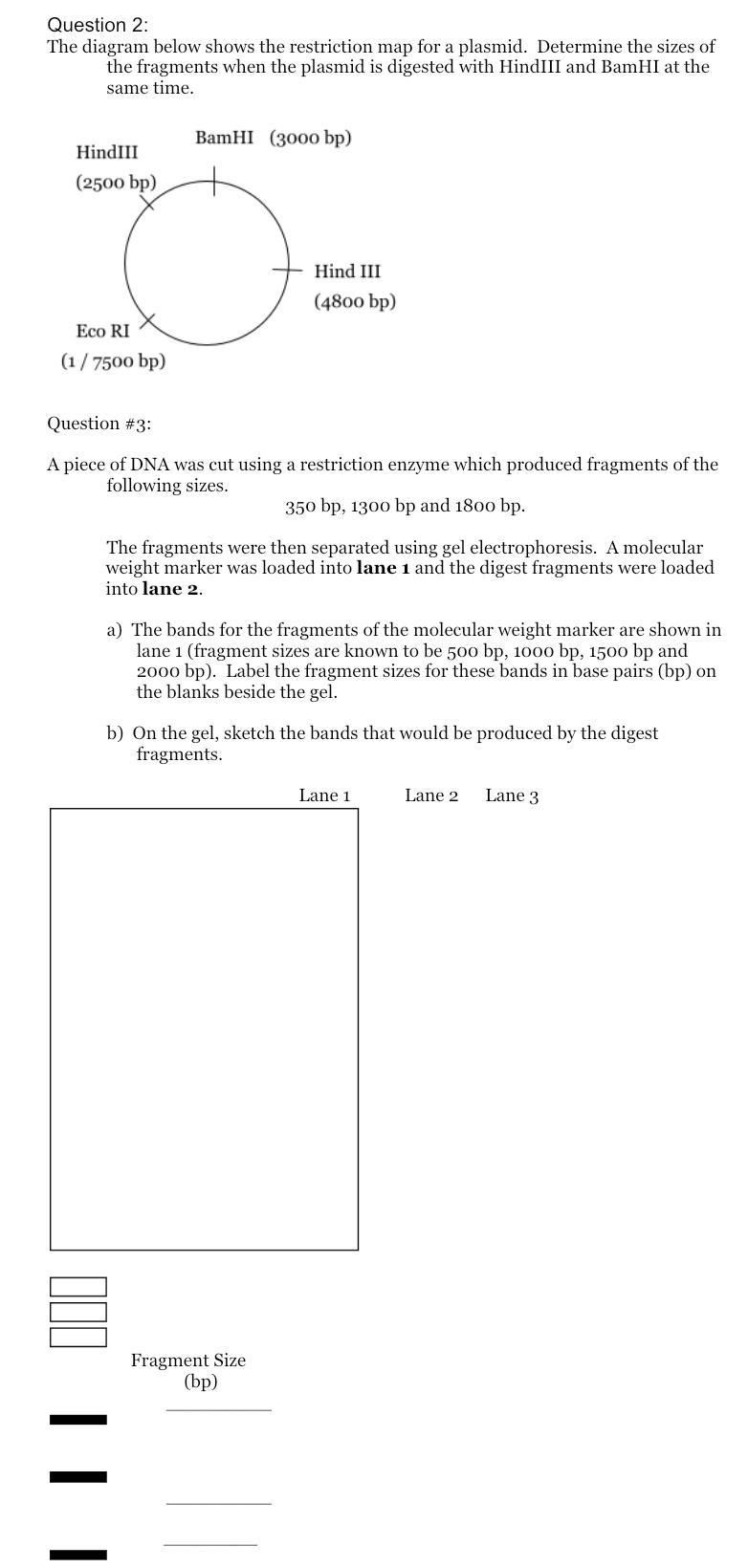 Solved Question 2: The diagram below shows the restriction | Chegg.com