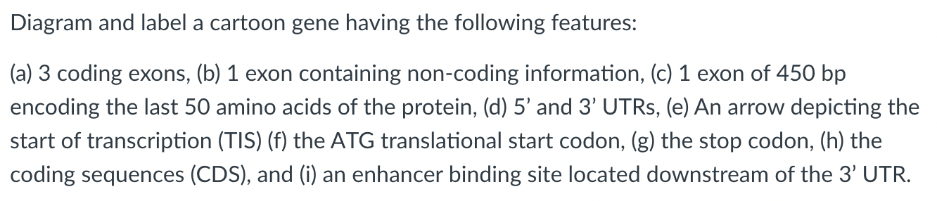 Solved Diagram and label a cartoon gene having the following | Chegg.com