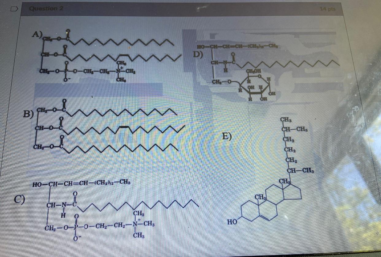 Solved HO-CH-CH=CH-Chahalls D) CHN GH OH CH-0 OHH ОН H OH | Chegg.com
