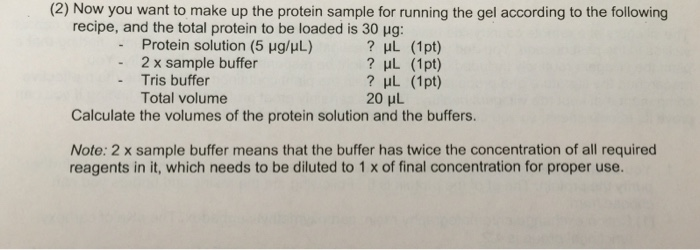 Protein Loading Buffer Recipe | Deporecipe.co