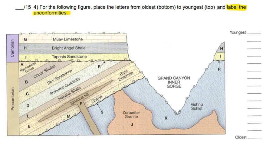 Solved _/15 4) For the following figure, place the letters | Chegg.com
