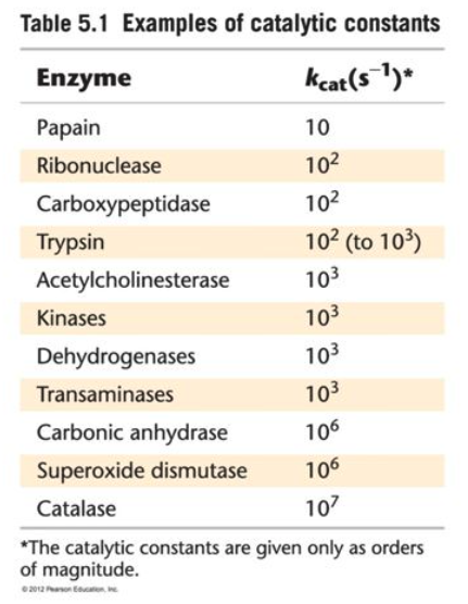 Solved Considering the values of kcat given in Table 5.1 of | Chegg.com