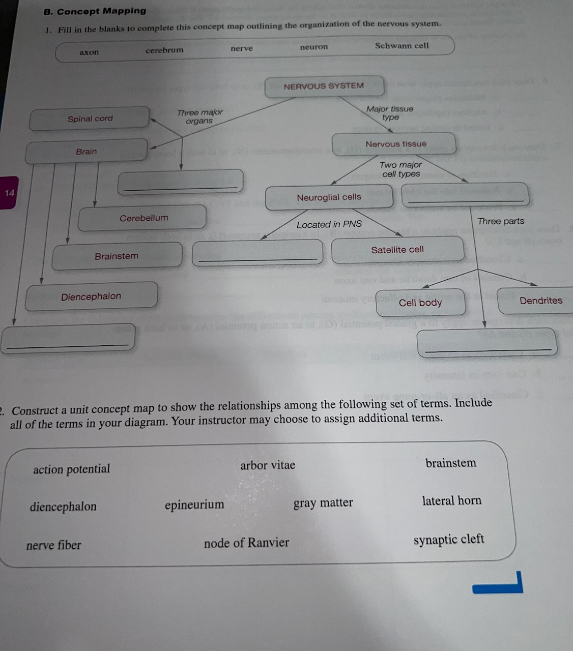 Solved B. Concept Mapping 1. Fill in the blanks to complete | Chegg.com