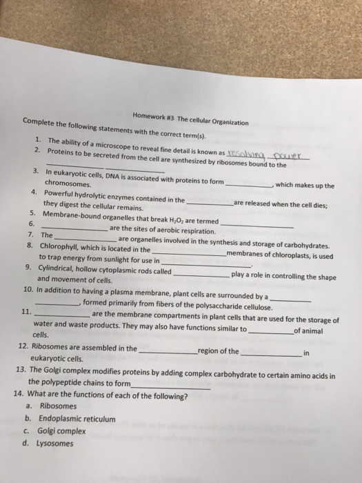Solved Complete the following statements with the correct | Chegg.com Solved Complete the following statements with the correct | Chegg.com