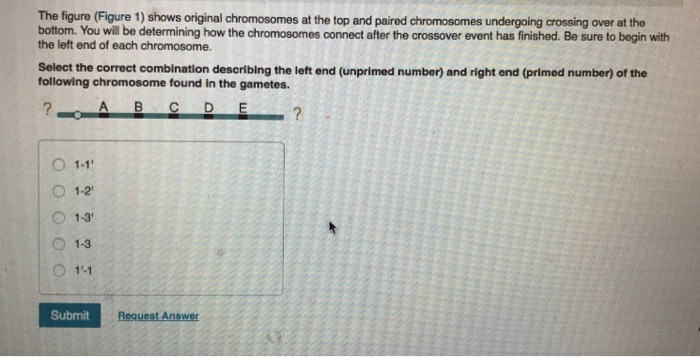 Solved Review Figure