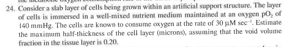 24. Consider a slab layer of cells being grown within | Chegg.com