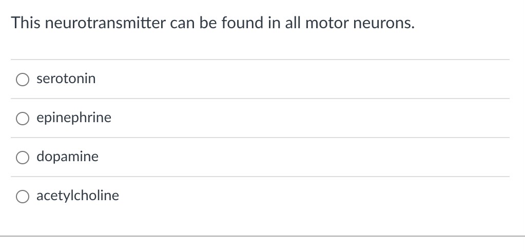 Solved This neurotransmitter can be found in all motor | Chegg.com