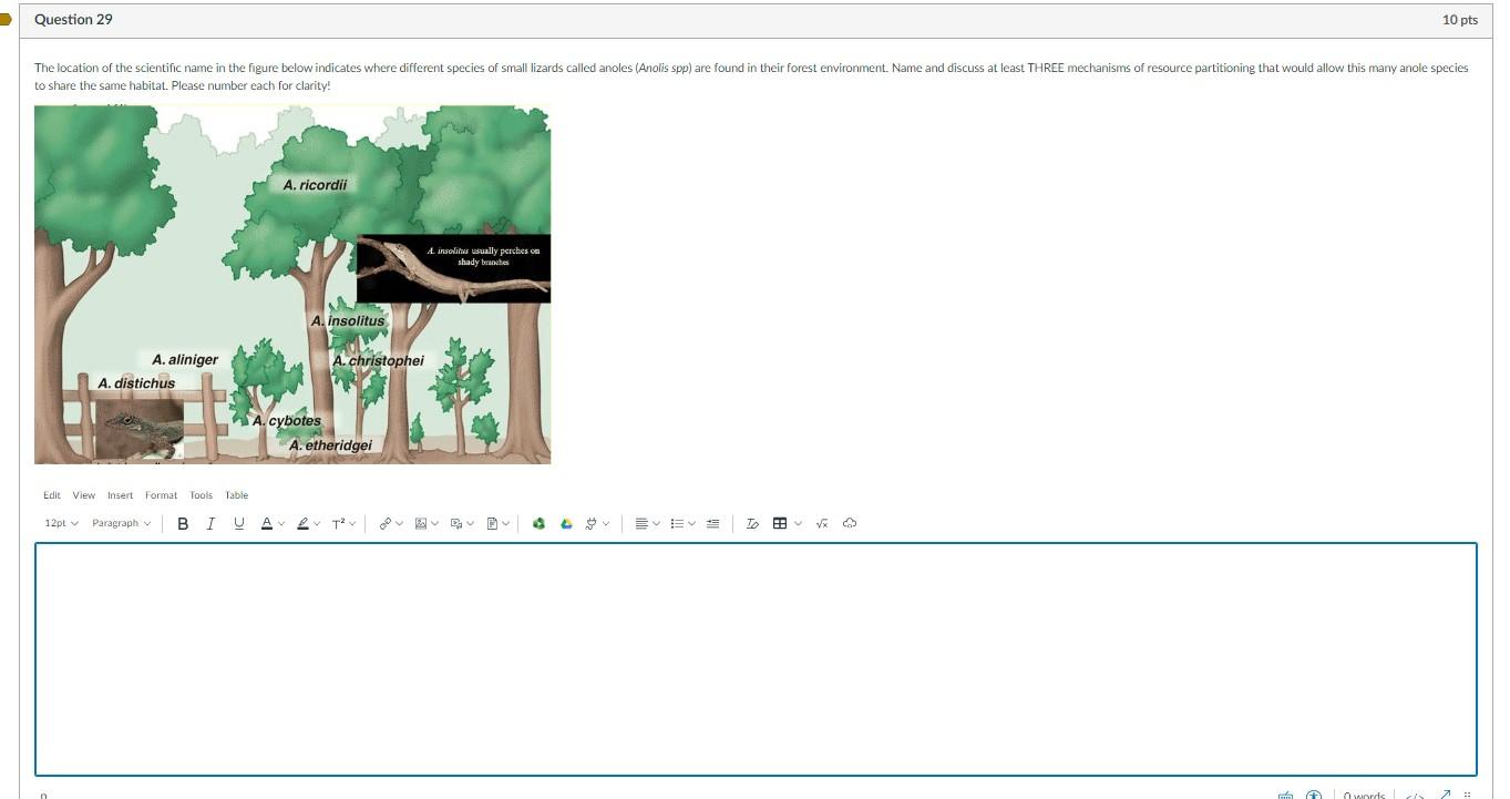 Solved Edit View Insert Format Tools Tabie | Chegg.com