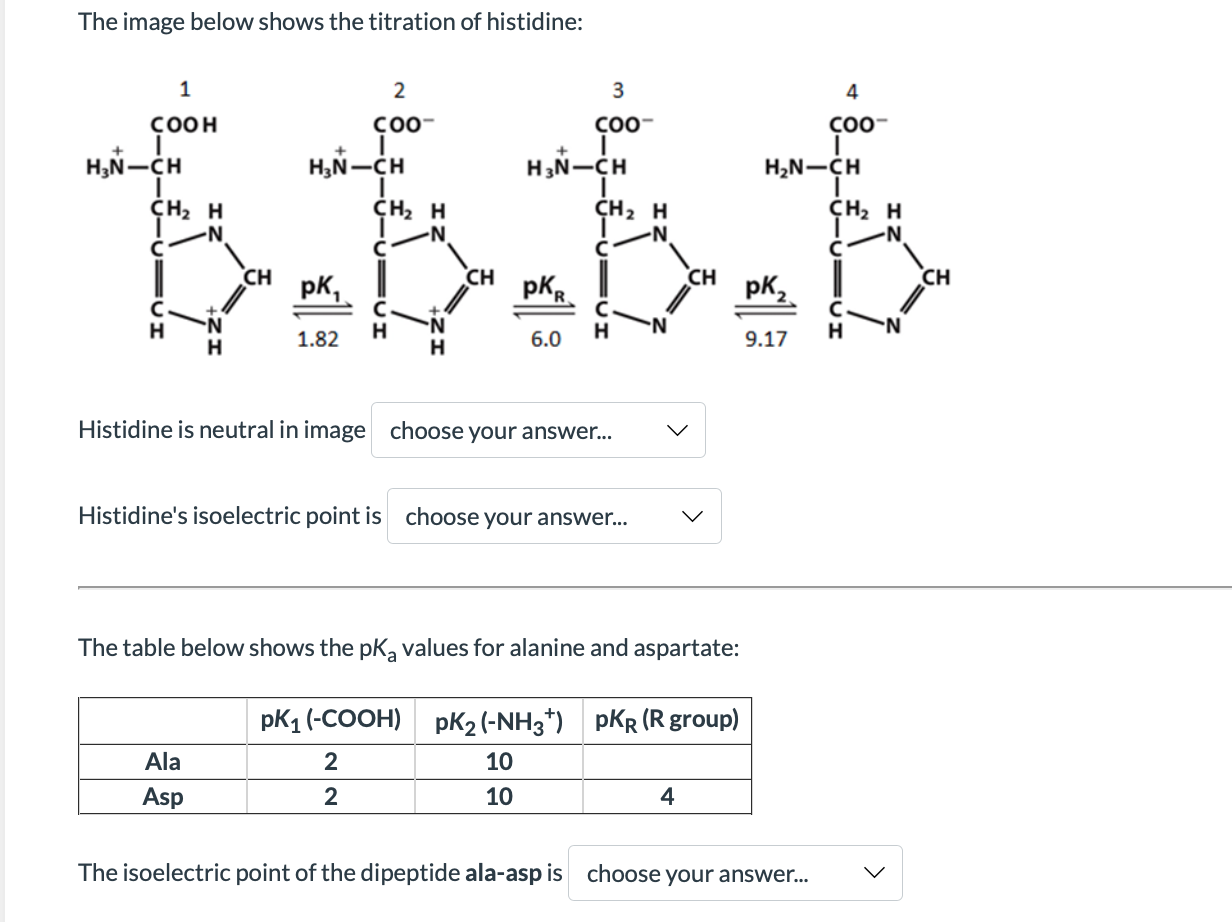 Solved The image below shows the titration of histidine: | Chegg.com
