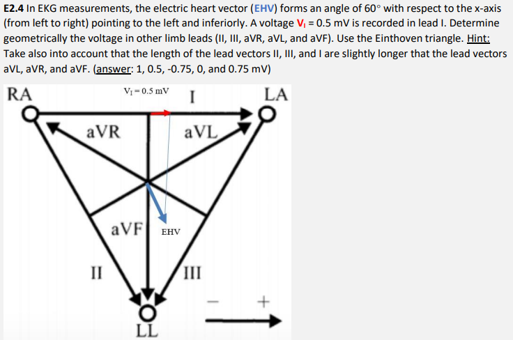 Solved E2.4 In EKG measurements, the electric heart vector | Chegg.com