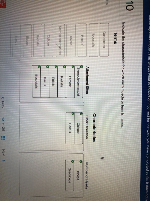 Solved Indicate the characteristic for which each muscle or | Chegg.com