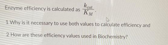 Solved Enzyme efficiency is calculated as (k_(cat))/(K_(M)). | Chegg.com