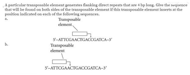 Solved A Particular Transposable Element Generates Flanking