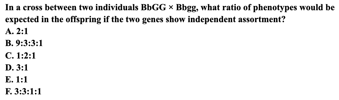 Solved In a cross between two individuals BbGG * Bbgg, what | Chegg.com