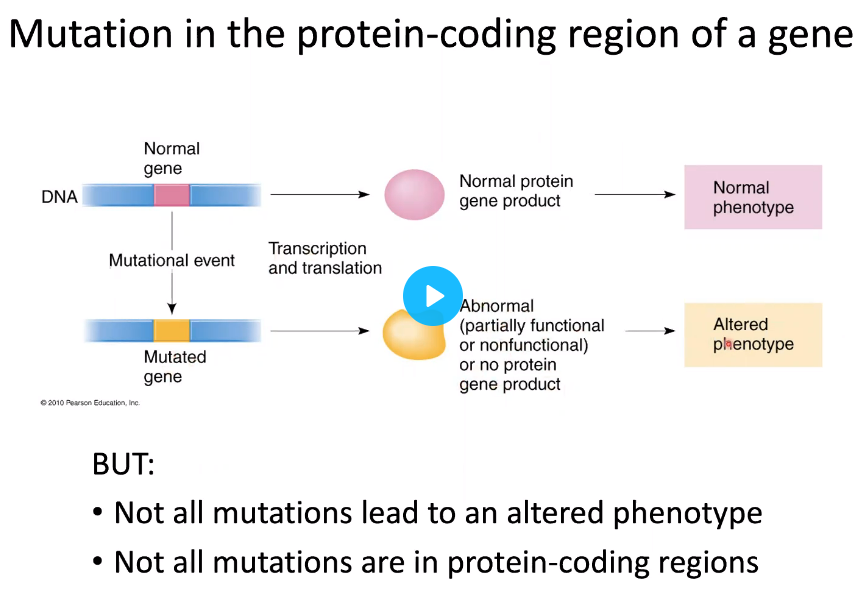 Solved how is it possible that not all mutations are in | Chegg.com