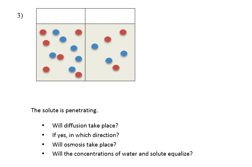 Solved 1) Fill in the blanks with hyposmotic, hyperosmotic, | Chegg.com