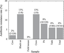 Solved Read through the “Figures” and “Graph Types” content | Chegg.com