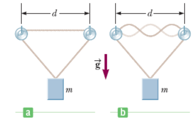 Solved A 11.6-kg object hangs in equilibrium from a string | Chegg.com