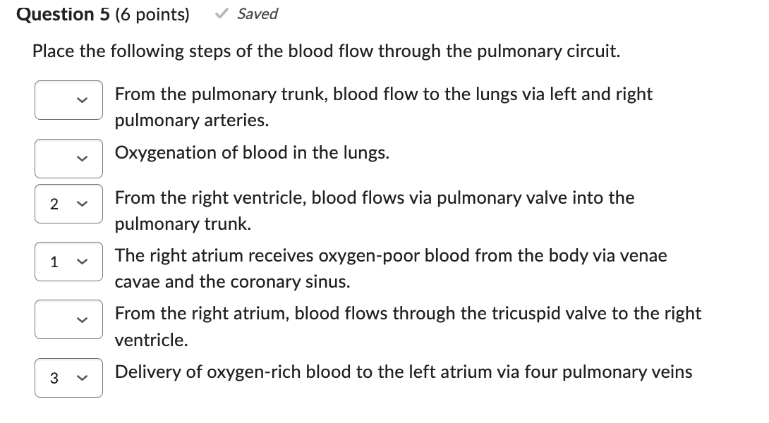 Solved Place the following steps of the blood flow through | Chegg.com