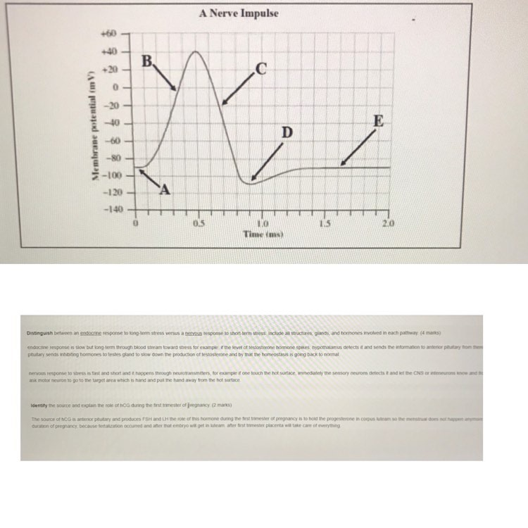 Solved Numeric Response 5 Use the following diagram to | Chegg.com