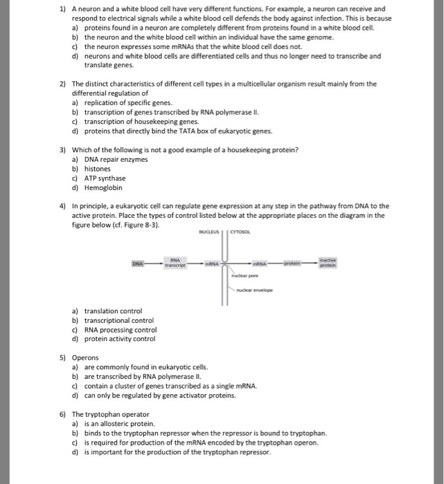 Solved Please help answer all the questions correctly in | Chegg.com