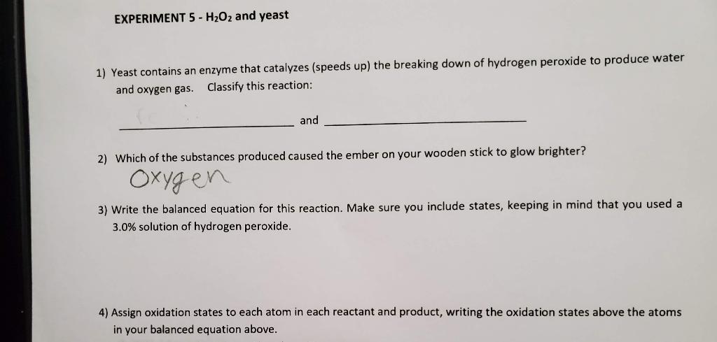 Solved EXPERIMENT 5 - H2O2 and yeast 1) Yeast contains an | Chegg.com