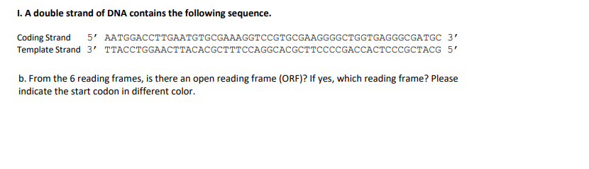 I A Double Strand Of DNA Contains The Following Chegg