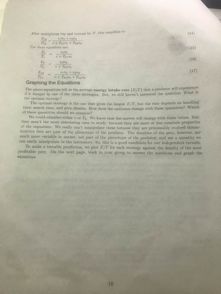 Solved Optimally Foraging Predators After foraging on beads, | Chegg.com