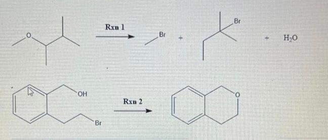 Solved rxn1? rxn2 ? | Chegg.com