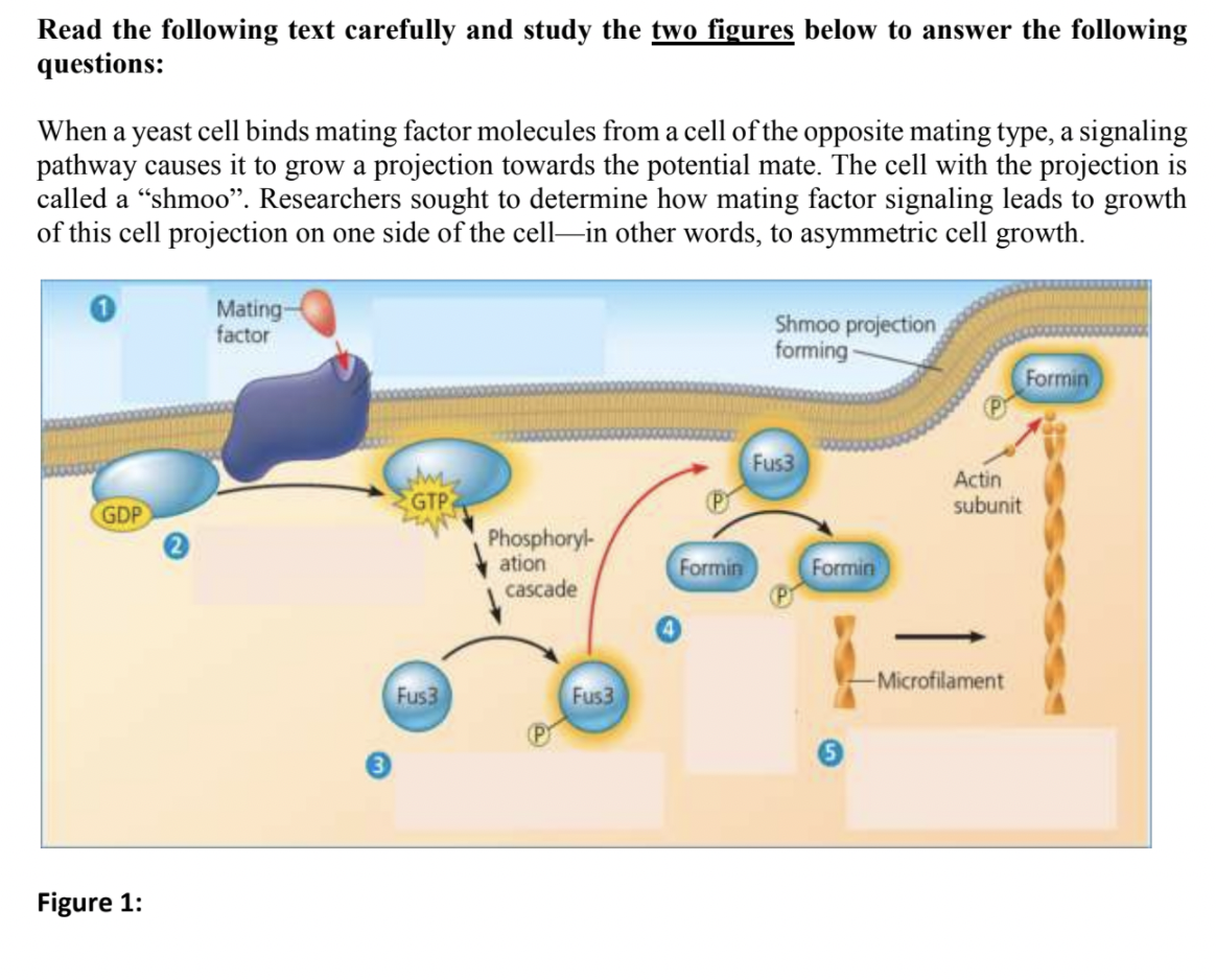 Solved Read the following text carefully and study the two | Chegg.com