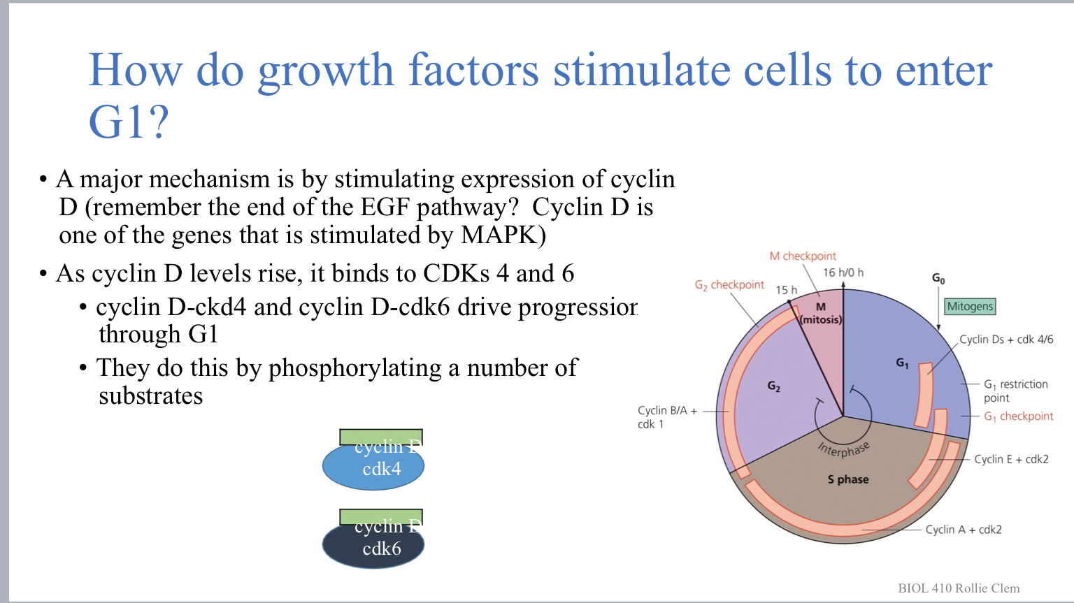 Solved Cells that are in G1 are preparing to enter S | Chegg.com