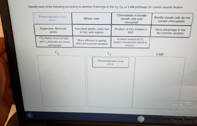 Solved Classify each of the following according to whether | Chegg.com