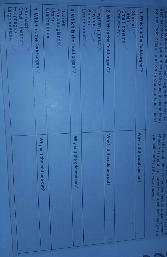 Solved Fecuru the aracteristics of each organ in the set. | Chegg.com