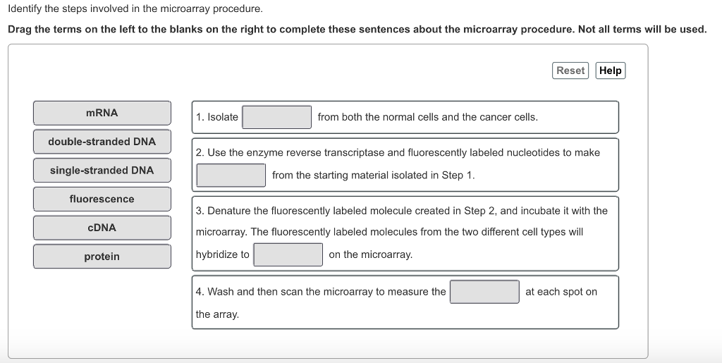 Solved Identify the steps involved in the microarray | Chegg.com